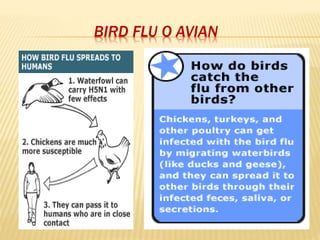 Mga bagong sakit sa asya | PPTX