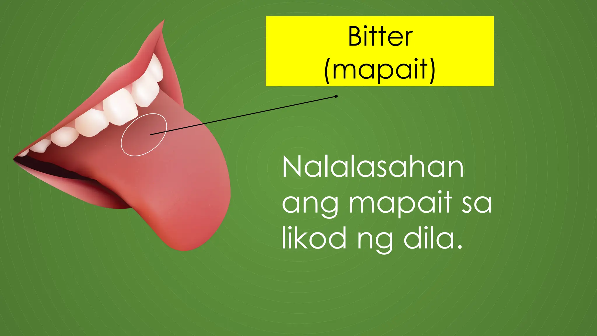 MGA BAHAGI NG DILA AT KUNG ANO ANG TUNGKULIN NG MGA ITO | PPTX