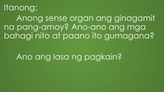 MGA BAHAGI NG DILA AT KUNG ANO ANG TUNGKULIN NG MGA ITO | PPTX