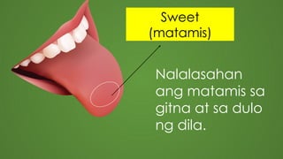 MGA BAHAGI NG DILA AT KUNG ANO ANG TUNGKULIN NG MGA ITO | PPTX
