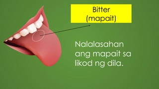 MGA BAHAGI NG DILA AT KUNG ANO ANG TUNGKULIN NG MGA ITO | PPTX