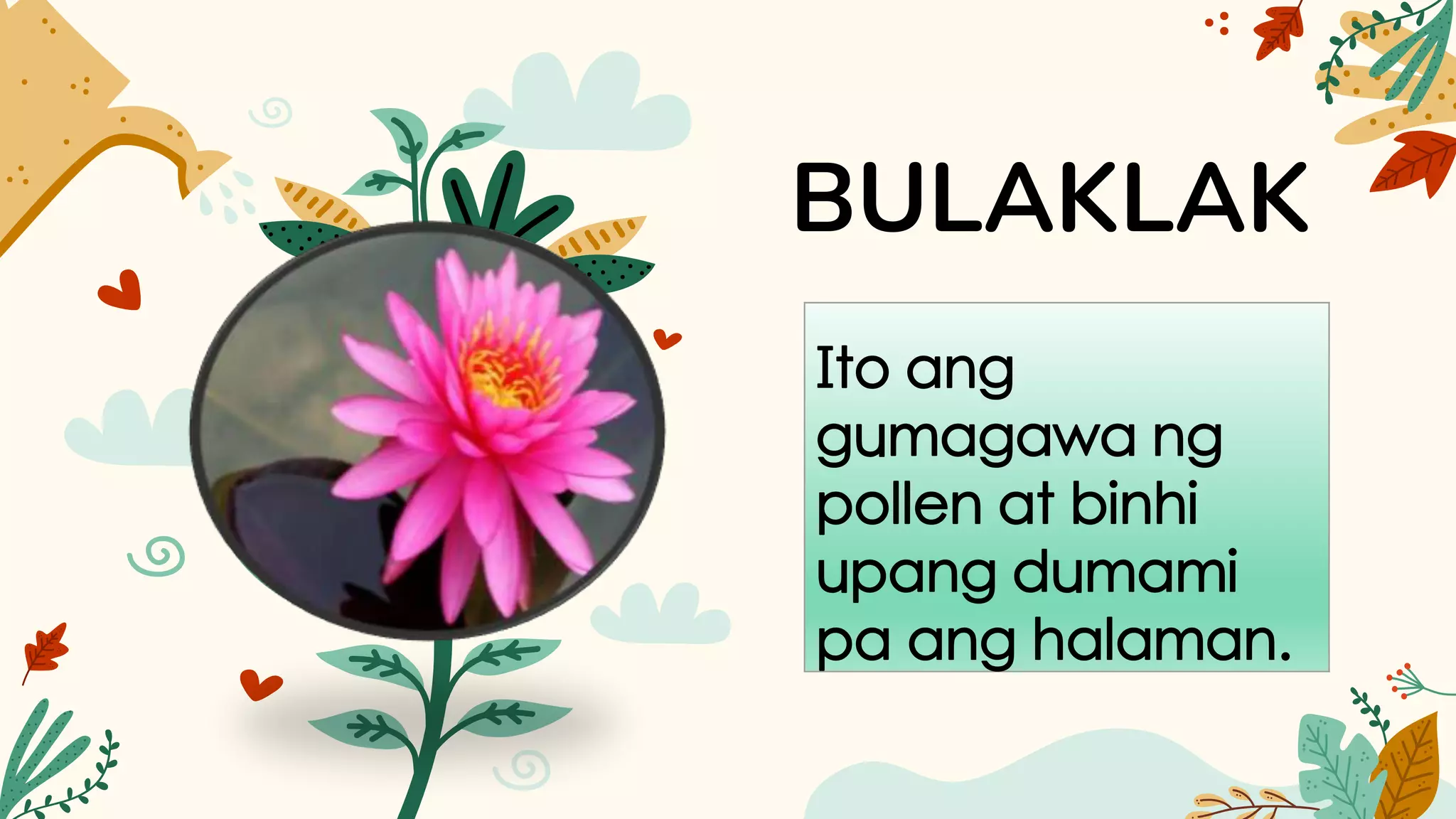 MGA BAHAGI NG HALAMAN.pptx