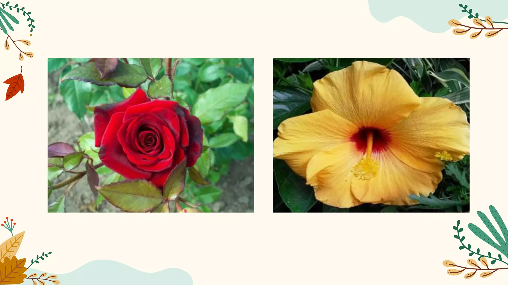 MGA BAHAGI NG HALAMAN.pptx