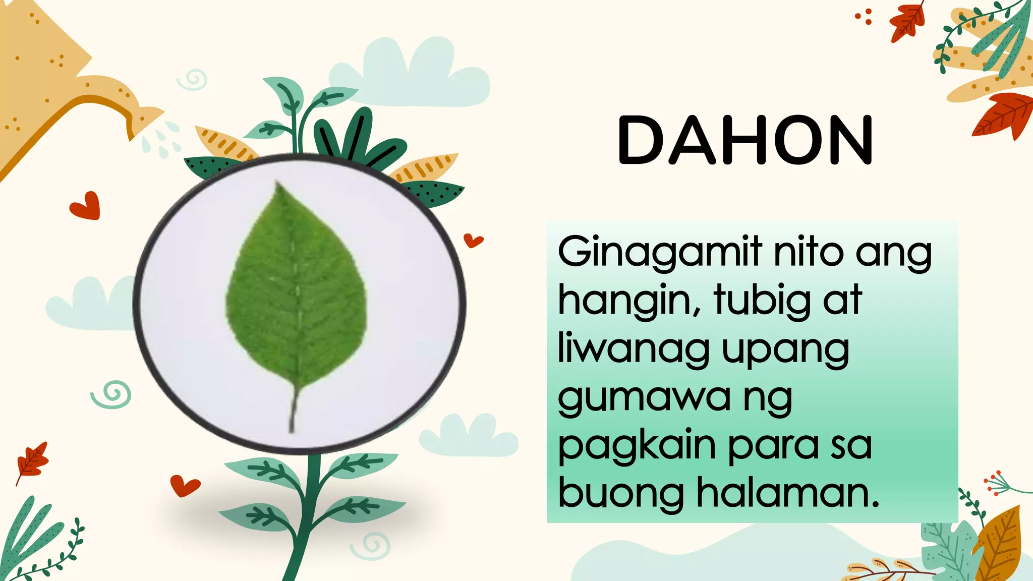 MGA BAHAGI NG HALAMAN.pptx