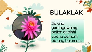 MGA BAHAGI NG HALAMAN.pptx