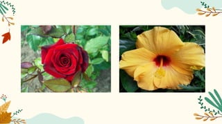 MGA BAHAGI NG HALAMAN.pptx