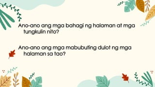 MGA BAHAGI NG HALAMAN.pptx