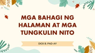 MGA BAHAGI NG HALAMAN.pptx