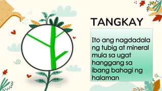 MGA BAHAGI NG HALAMAN.pptx