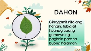 MGA BAHAGI NG HALAMAN.pptx