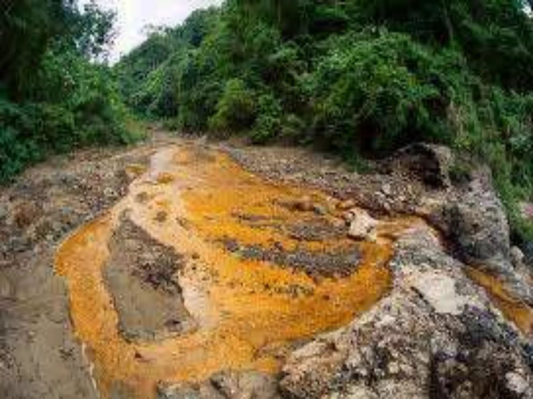 Mga batas pangkapaligiran | PPTX