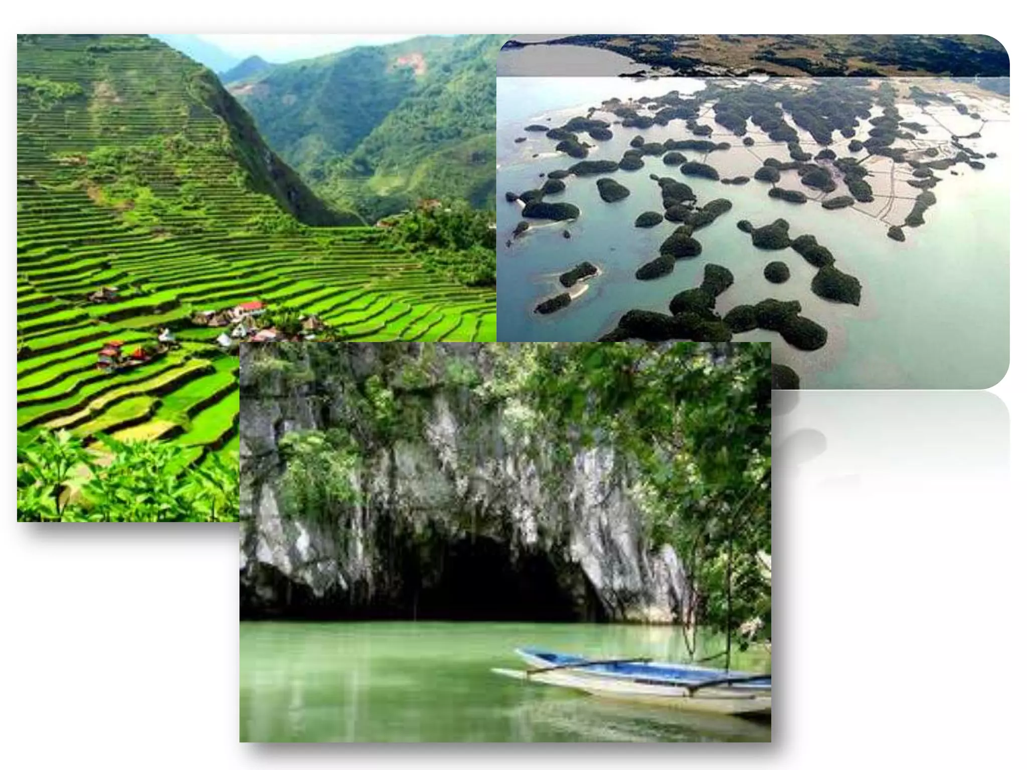 Mga batas pangkapaligiran | PPTX