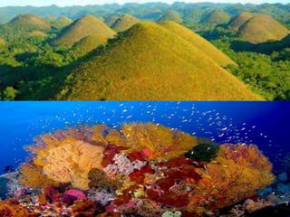 Mga batas pangkapaligiran | PPTX