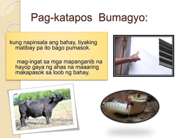 Mga dapat gawin sa oras ng kalamidad lindol | PPTX