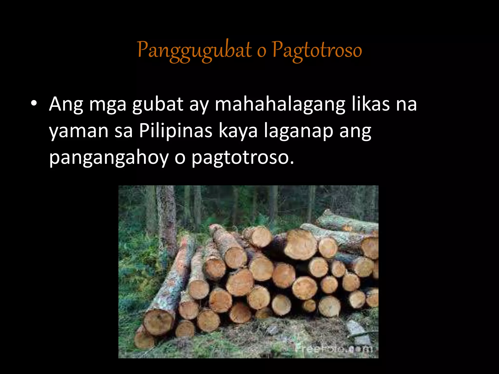 Mga gawaing pangkabuhayan sa pilipinas | PPTX