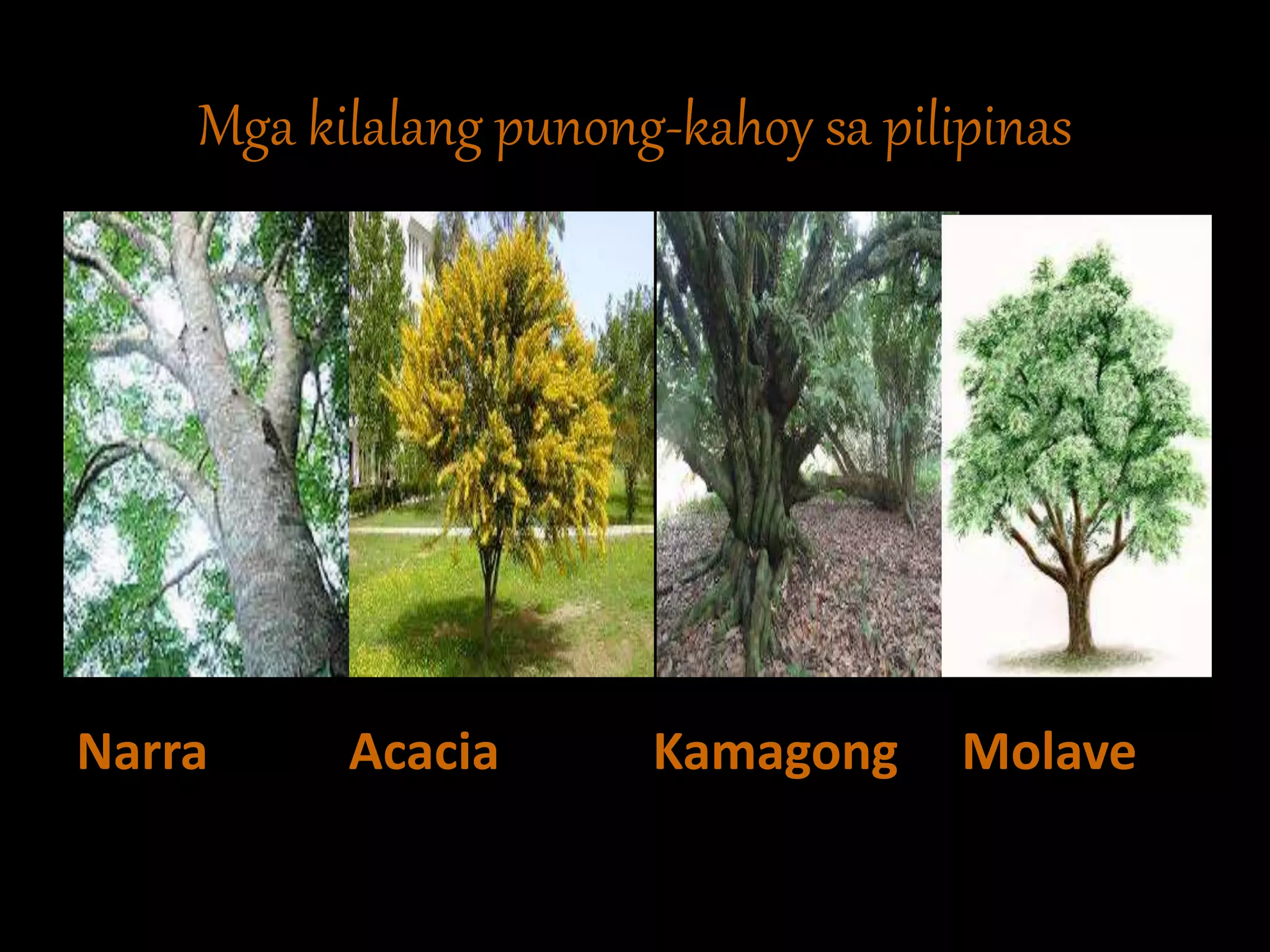 Mga gawaing pangkabuhayan sa pilipinas | PPTX