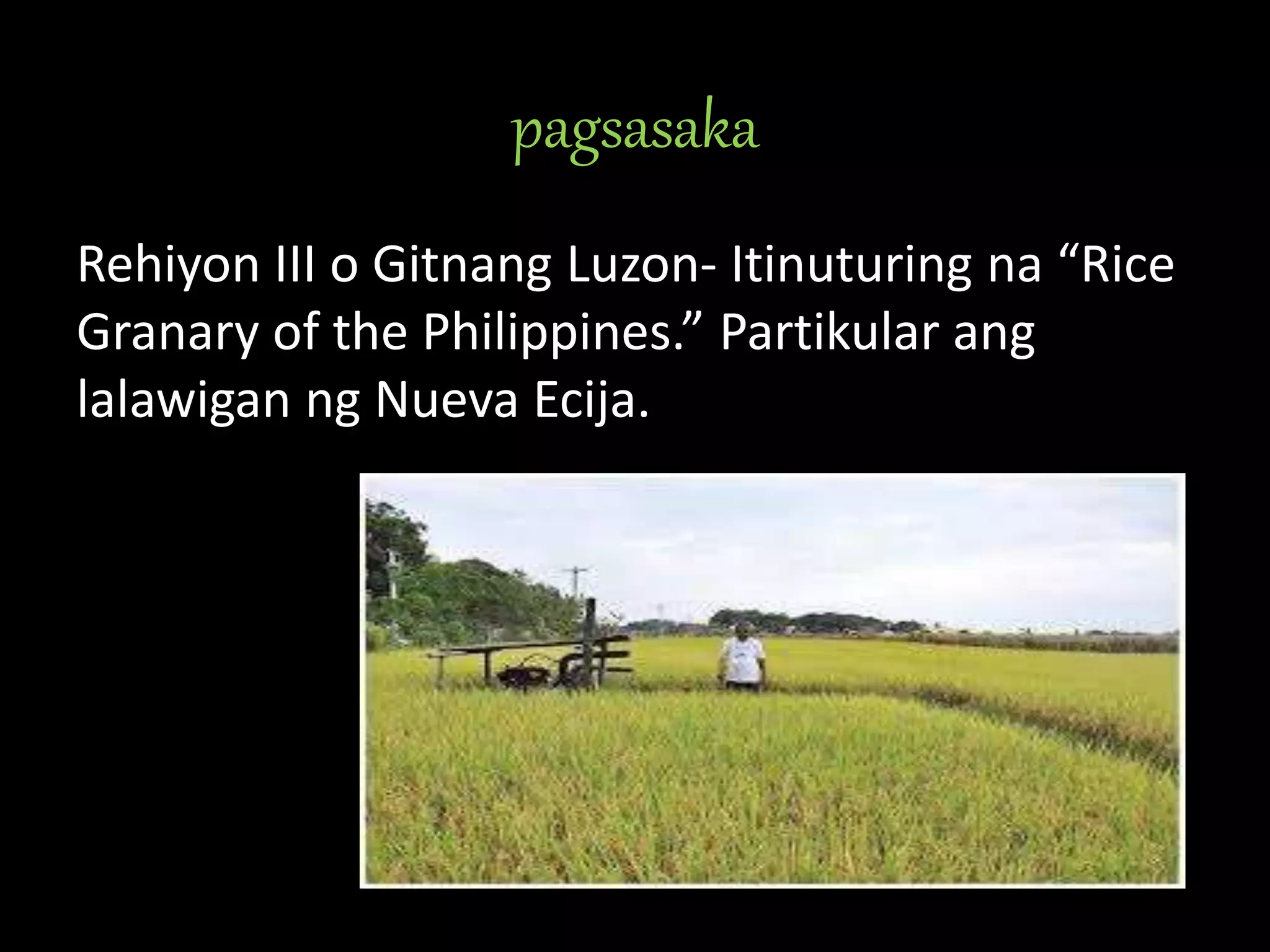 Mga gawaing pangkabuhayan sa pilipinas | PPTX