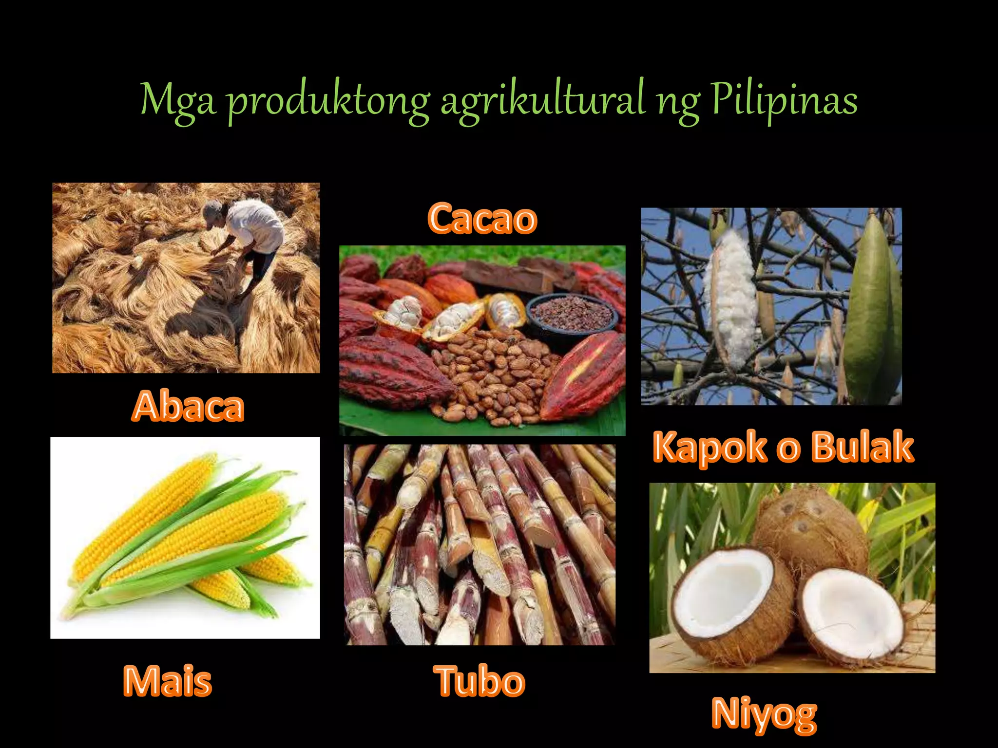 Mga gawaing pangkabuhayan sa pilipinas | PPTX