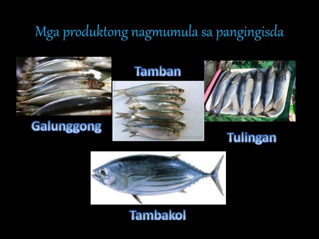 Mga gawaing pangkabuhayan sa pilipinas | PPTX