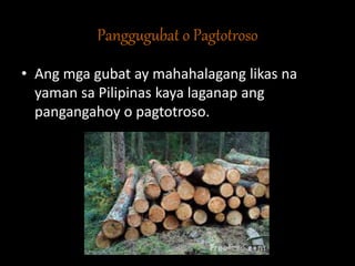 Mga gawaing pangkabuhayan sa pilipinas | PPTX