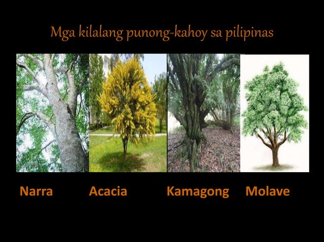 Mga gawaing pangkabuhayan sa pilipinas | PPTX