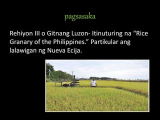 Mga gawaing pangkabuhayan sa pilipinas | PPTX