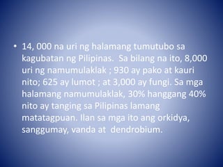Mga halaman at hayop sa pilipinas powerpoint | PPTX