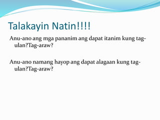 Mga hayop at pananim sa bansa | PPTX