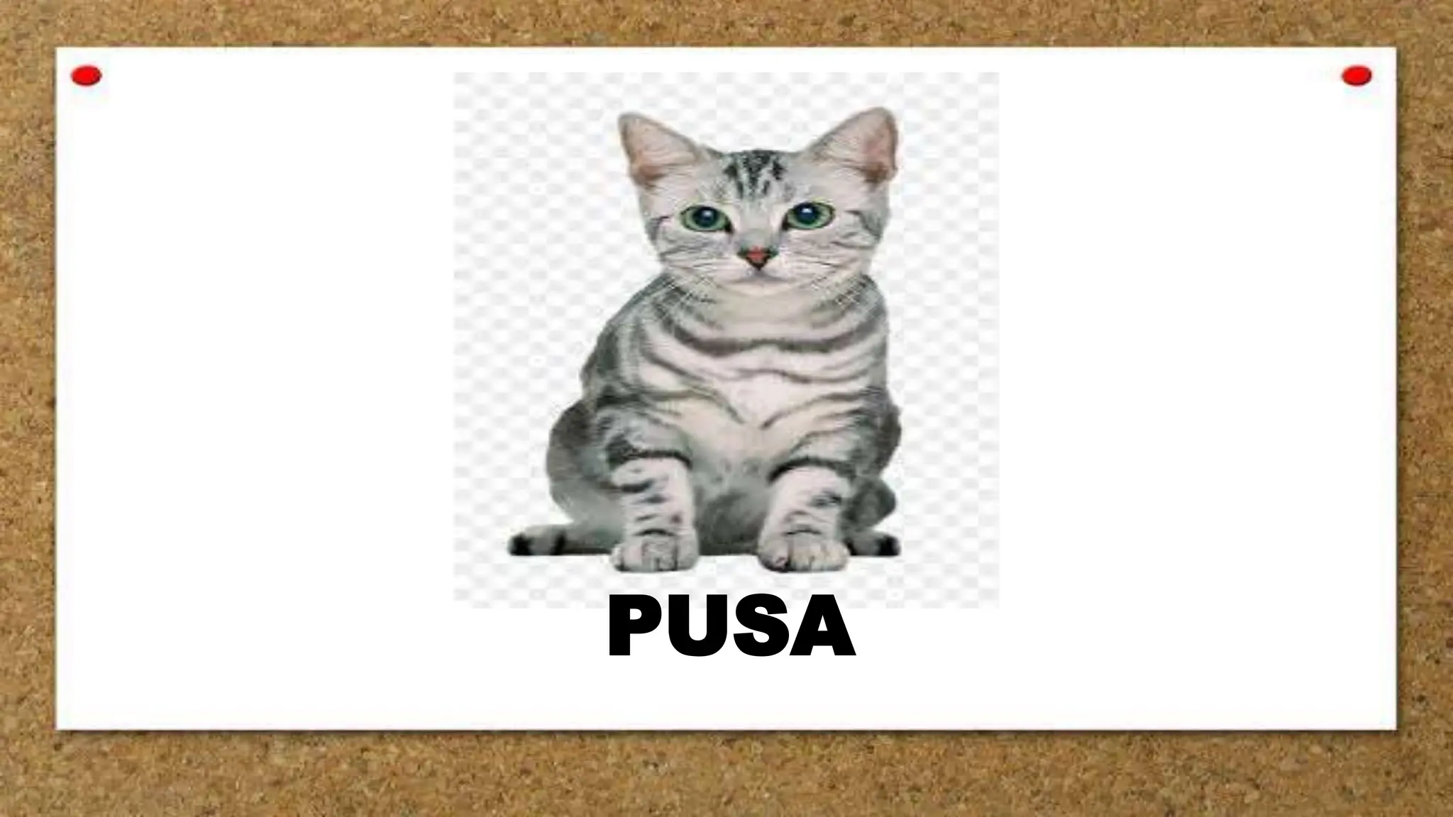 Mga Hayop Na Inaalagaan sa loob ng Bahay.pptx