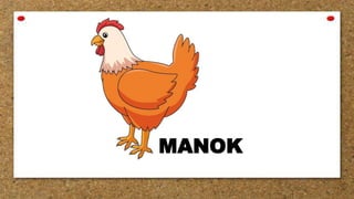 Mga Hayop Na Inaalagaan sa loob ng Bahay.pptx