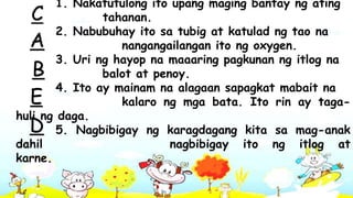 MGA HAYOP NA MAARING ALAGAAN SA TAHANAN.pptx