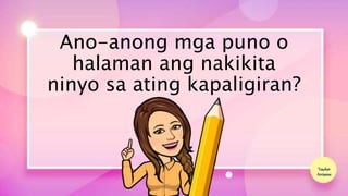 MGA IBA’T IBANG BAHAGI NG HALAMAN.pptx