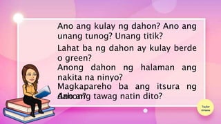 MGA IBA’T IBANG BAHAGI NG HALAMAN.pptx