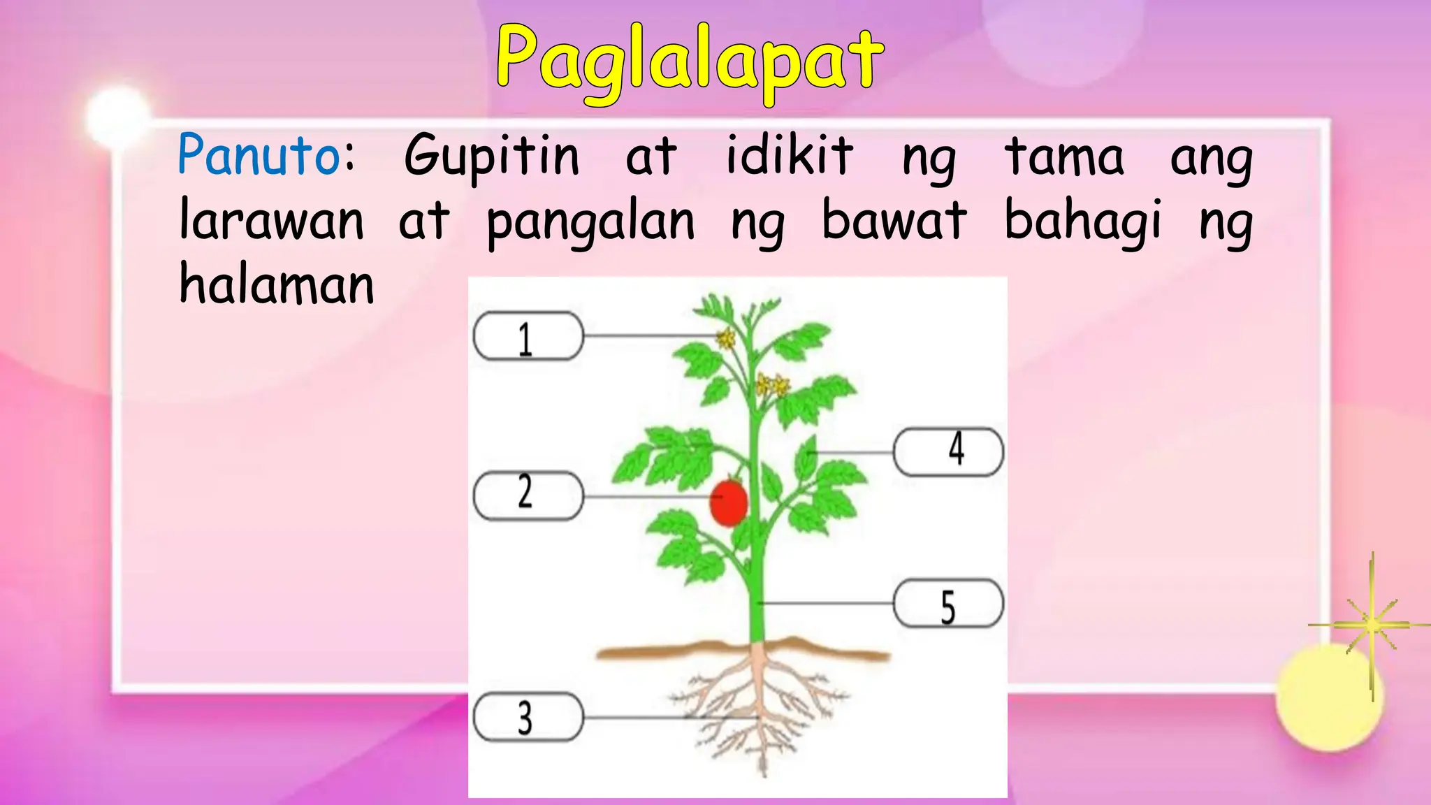 MGA IBA’T IBANG BAHAGI NG HALAMAN (2).pptx