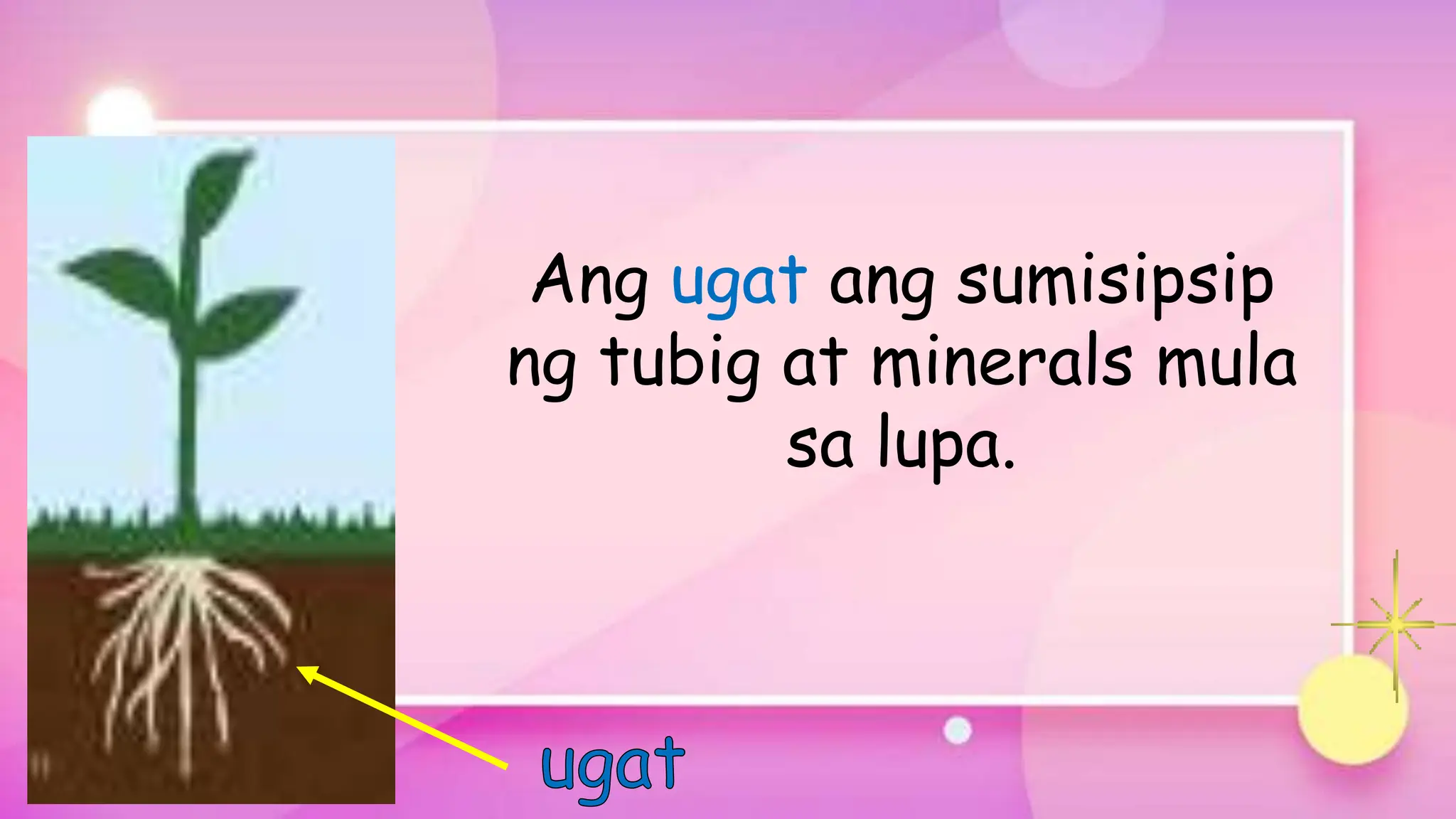 MGA IBA’T IBANG BAHAGI NG HALAMAN (2).pptx