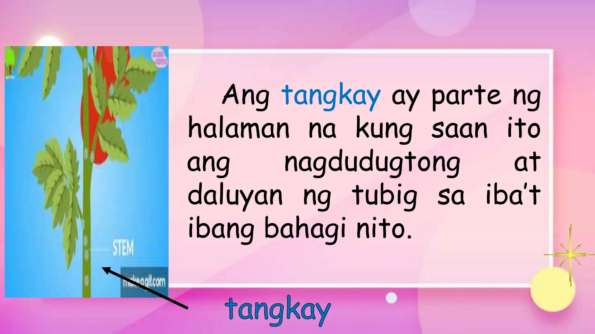 MGA IBA’T IBANG BAHAGI NG HALAMAN (2).pptx