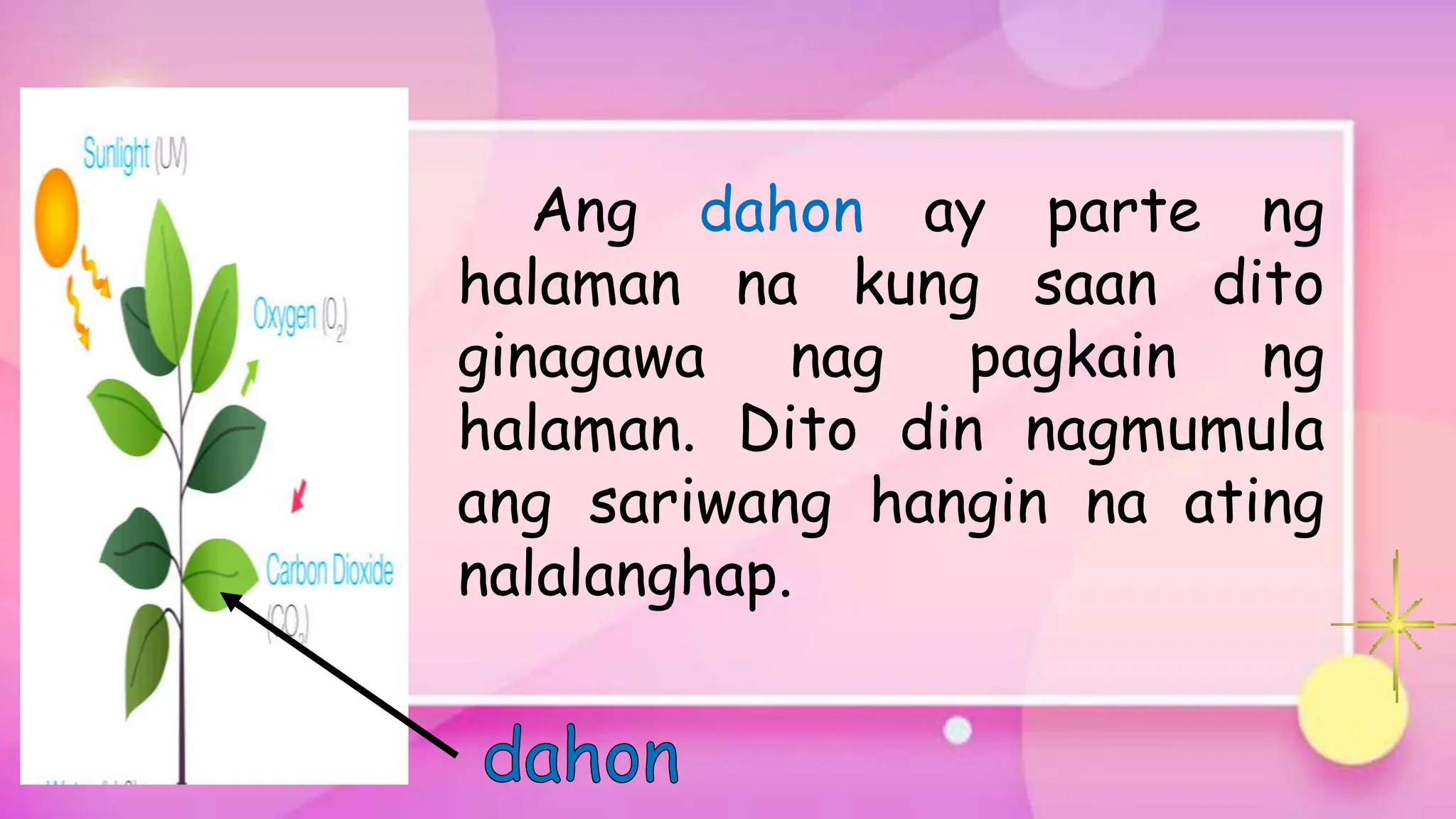 MGA IBA’T IBANG BAHAGI NG HALAMAN (2).pptx