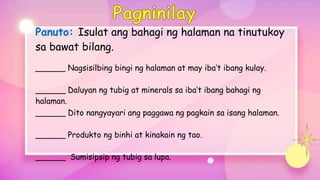 MGA IBA’T IBANG BAHAGI NG HALAMAN (2).pptx