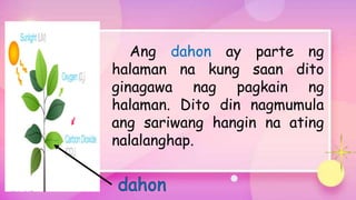 MGA IBA’T IBANG BAHAGI NG HALAMAN (2).pptx