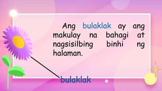 MGA IBA’T IBANG BAHAGI NG HALAMAN (2).pptx