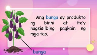 MGA IBA’T IBANG BAHAGI NG HALAMAN (2).pptx