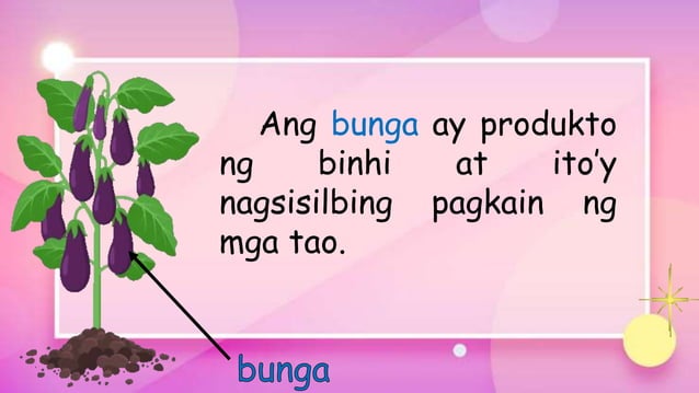 MGA IBA’T IBANG BAHAGI NG HALAMAN (2).pptx