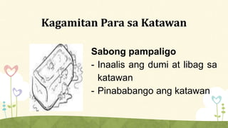 Mga kagamitan sa paglilinis at pag aayos ng katawan | PPTX