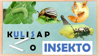 MGA KULISAP_Grade 5 EPP: Agrikultura.pptx