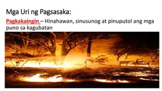 Mga likas na yaman at hanapbuhay ng mga | PPTX