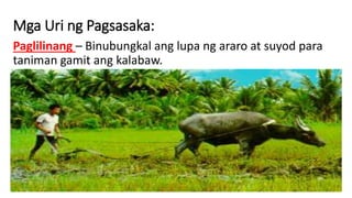 Mga likas na yaman at hanapbuhay ng mga | PPTX