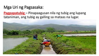 Mga likas na yaman at hanapbuhay ng mga | PPTX
