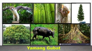 Mga Likas na Yaman at Produkto sa Aking Komunidad | PPTX