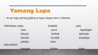 Mga Likas na Yaman at Produkto sa Aking Komunidad | PPTX