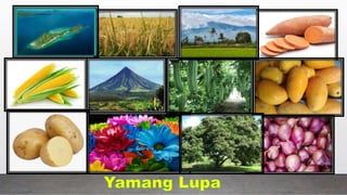 Mga Likas na Yaman at Produkto sa Aking Komunidad | PPTX